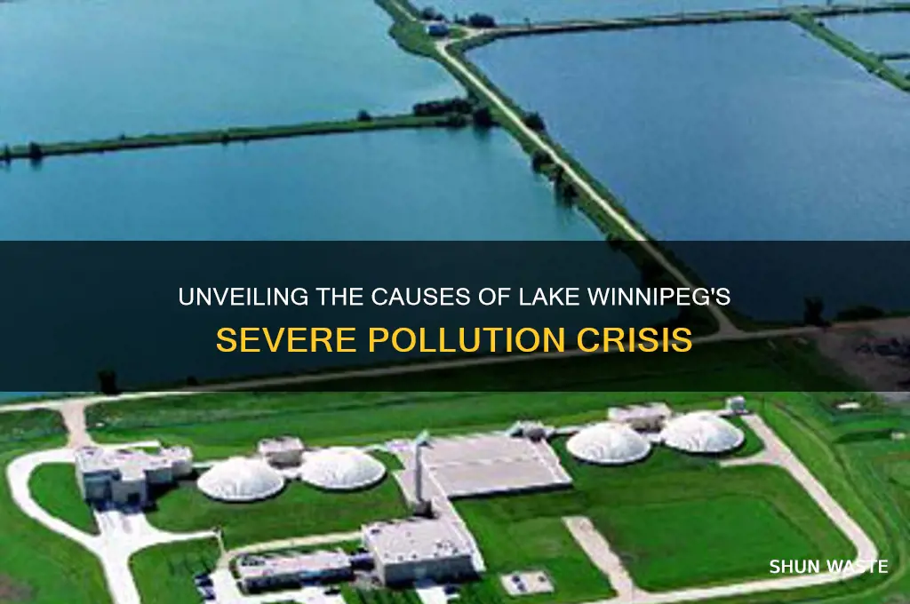 Unveiling The Causes Of Lake Winnipeg's Severe Pollution Crisis | ShunWaste