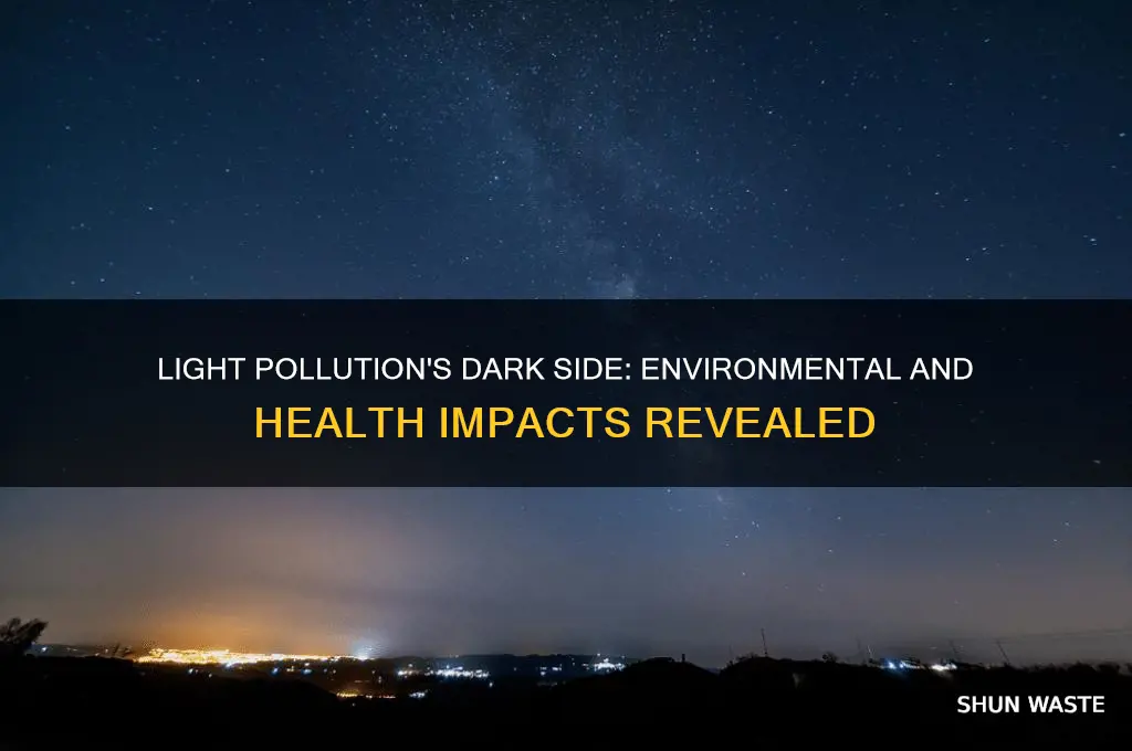 Light Pollution's Dark Side: Environmental And Health Impacts Revealed ...