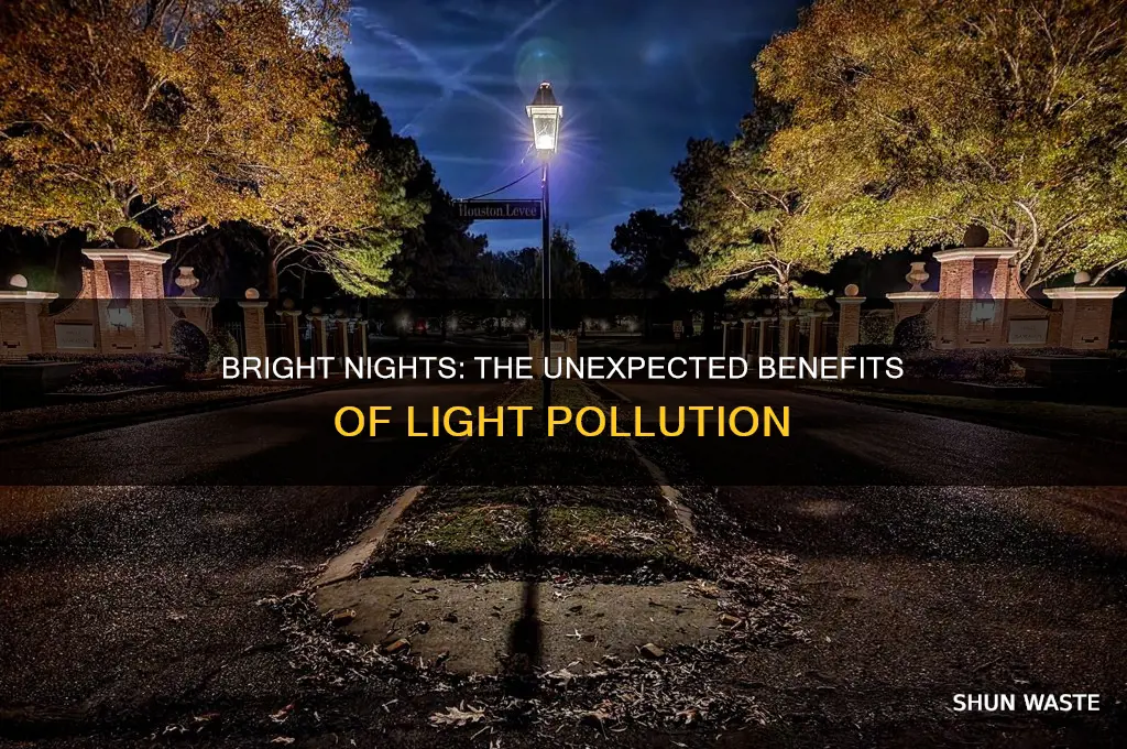 Bright Nights: The Unexpected Benefits Of Light Pollution | ShunWaste