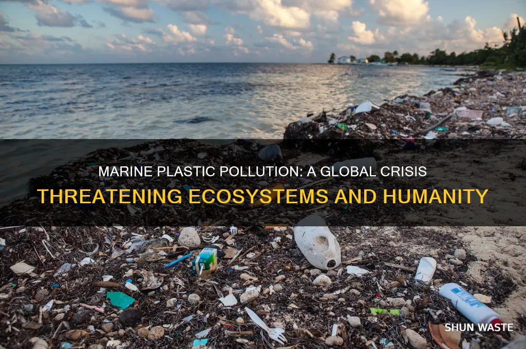 Marine Plastic Pollution: A Global Crisis Threatening Ecosystems And ...
