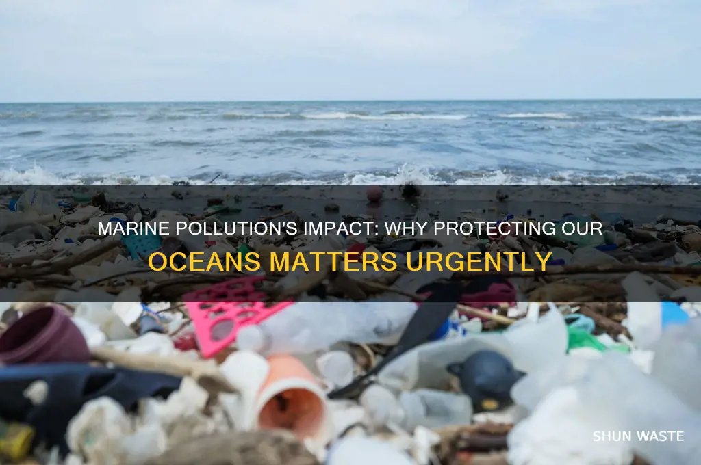 Marine Pollution's Impact: Why Protecting Our Oceans Matters Urgently ...