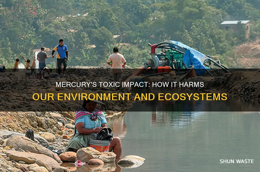 Mercury's Toxic Impact: How It Harms Our Environment And Ecosystems ...