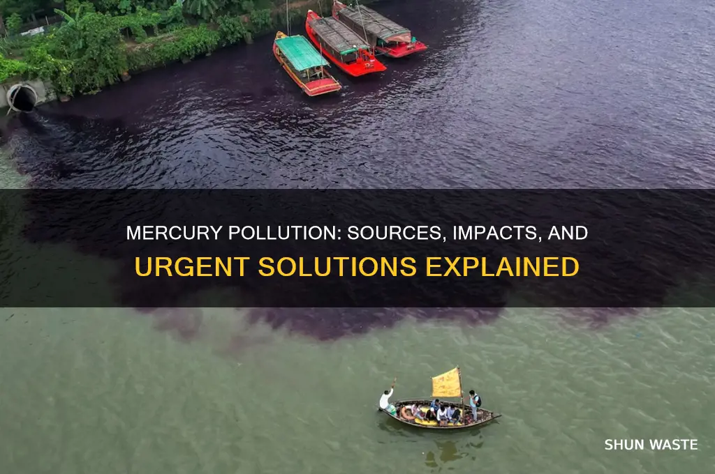Mercury Pollution: Sources, Impacts, And Urgent Solutions Explained ...