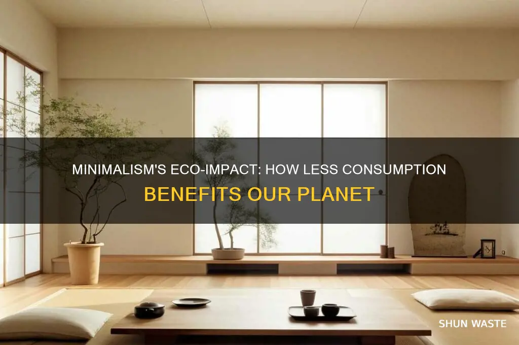 Minimalism's Eco-Impact: How Less Consumption Benefits Our Planet ...
