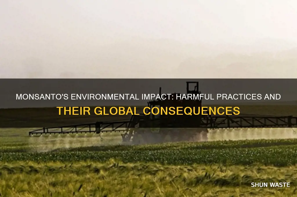 Monsanto's Environmental Impact: Harmful Practices And Their Global ...