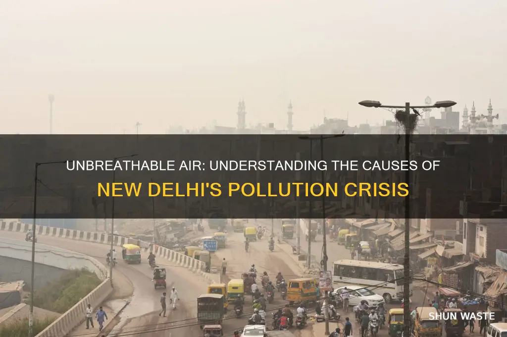 Unbreathable Air: Understanding The Causes Of New Delhi's Pollution ...