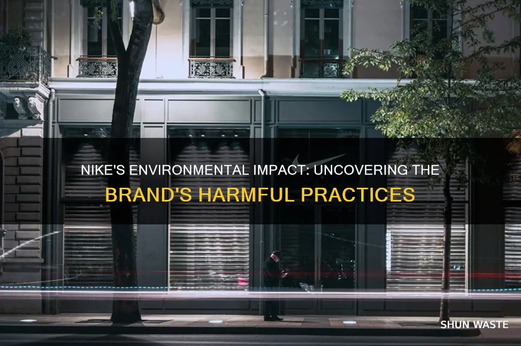 Nike's Environmental Impact: Uncovering The Brand's Harmful Practices ...