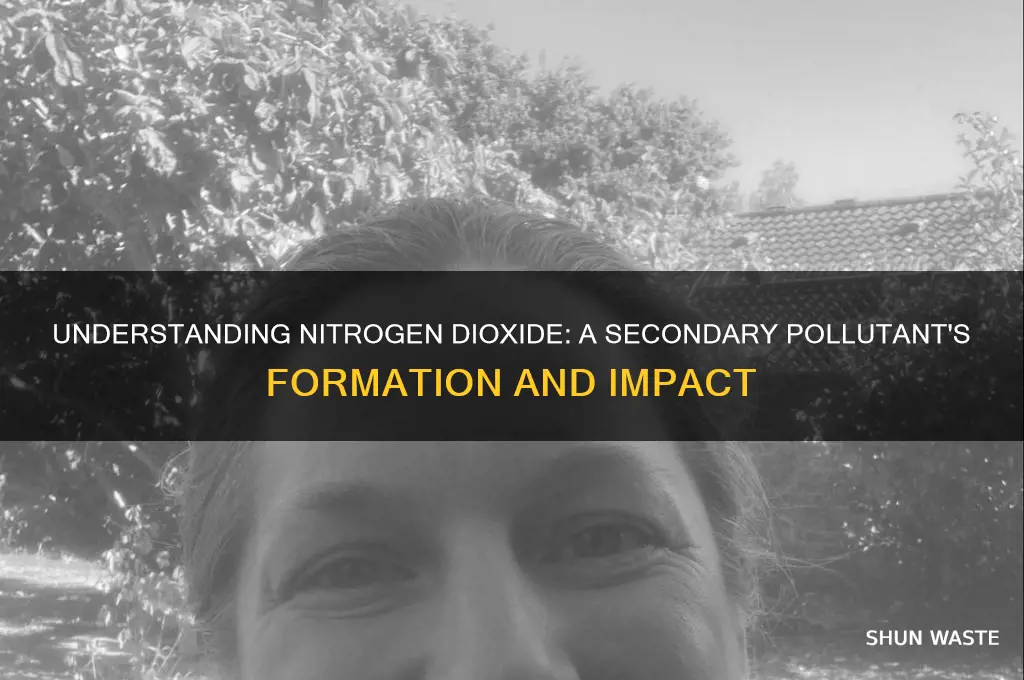 Understanding Nitrogen Dioxide: A Secondary Pollutant's Formation And ...