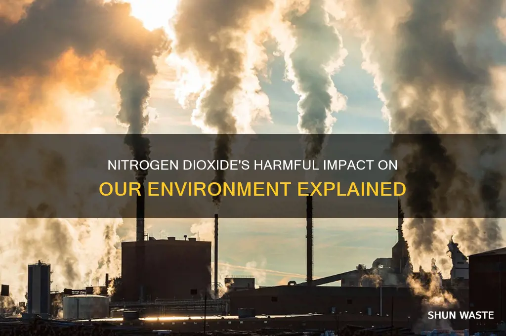 Nitrogen Dioxide's Harmful Impact On Our Environment Explained | ShunWaste