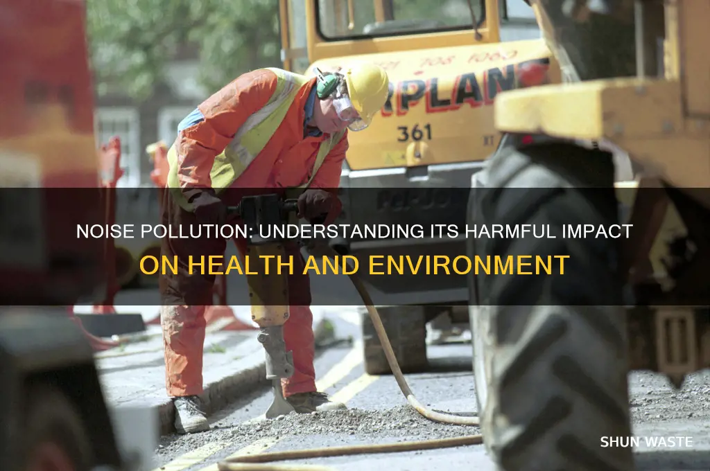 Noise Pollution: Understanding Its Harmful Impact On Health And ...
