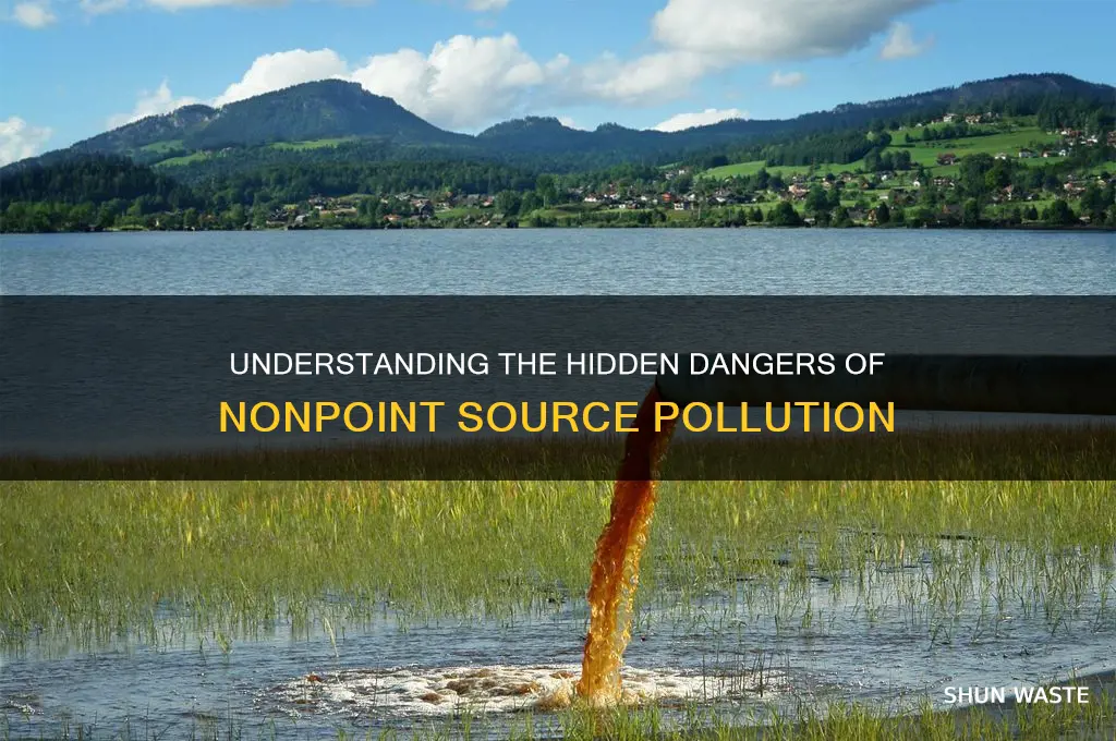 Understanding The Hidden Dangers Of Nonpoint Source Pollution | ShunWaste