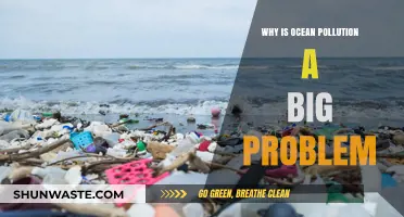 The Devastating Impact Of Ocean Pollution: Causes And Consequences ...