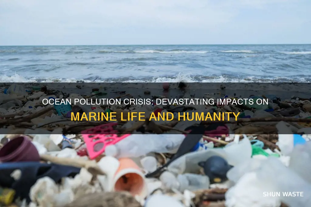 Ocean Pollution Crisis: Devastating Impacts On Marine Life And Humanity ...