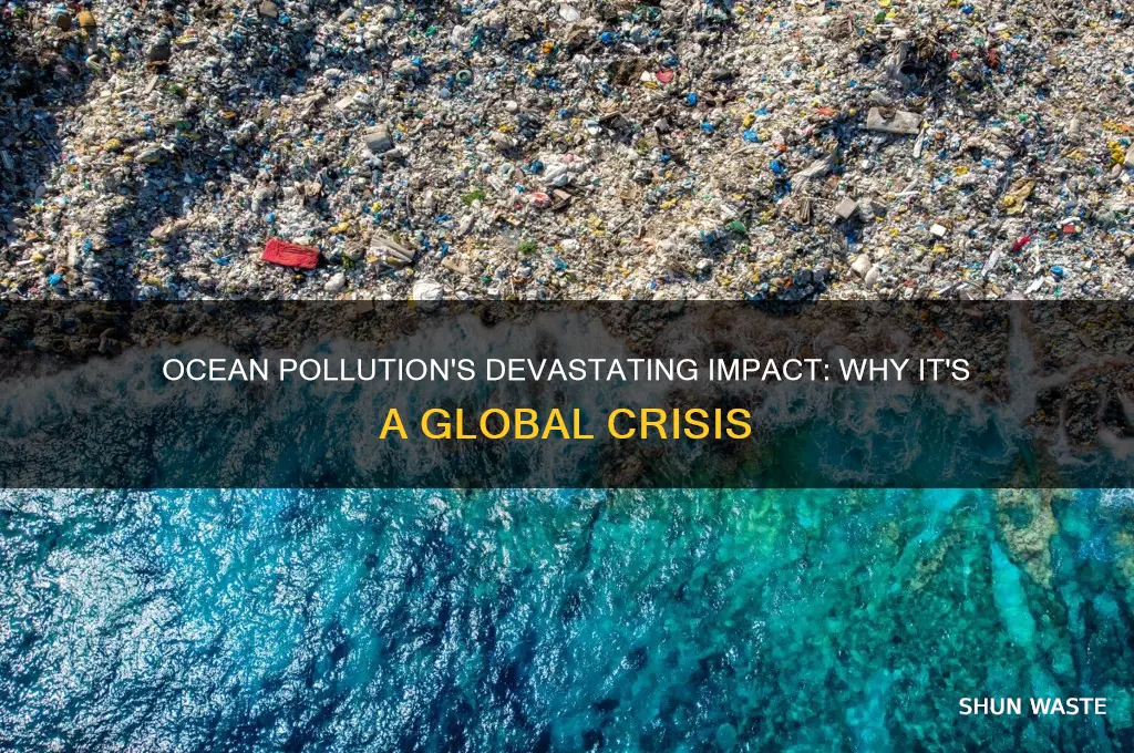 Ocean Pollution's Devastating Impact: Why It's A Global Crisis | ShunWaste