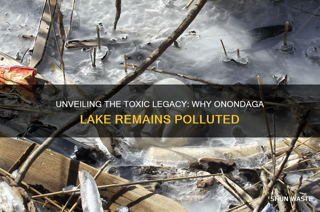 Unveiling The Toxic Legacy: Why Onondaga Lake Remains Polluted | ShunWaste