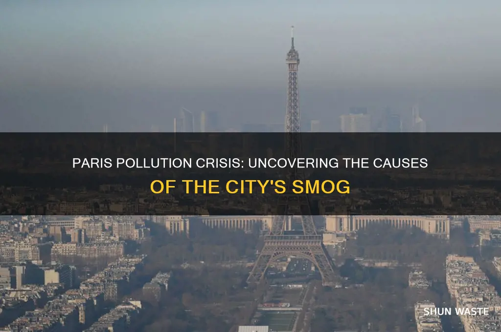 Paris Pollution Crisis: Uncovering The Causes Of The City's Smog ...