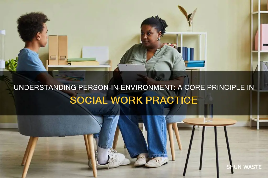 Understanding Person-In-Environment: A Core Principle In Social Work ...