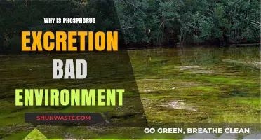 Phenol's Environmental Impact: Harmful Effects And Ecological ...