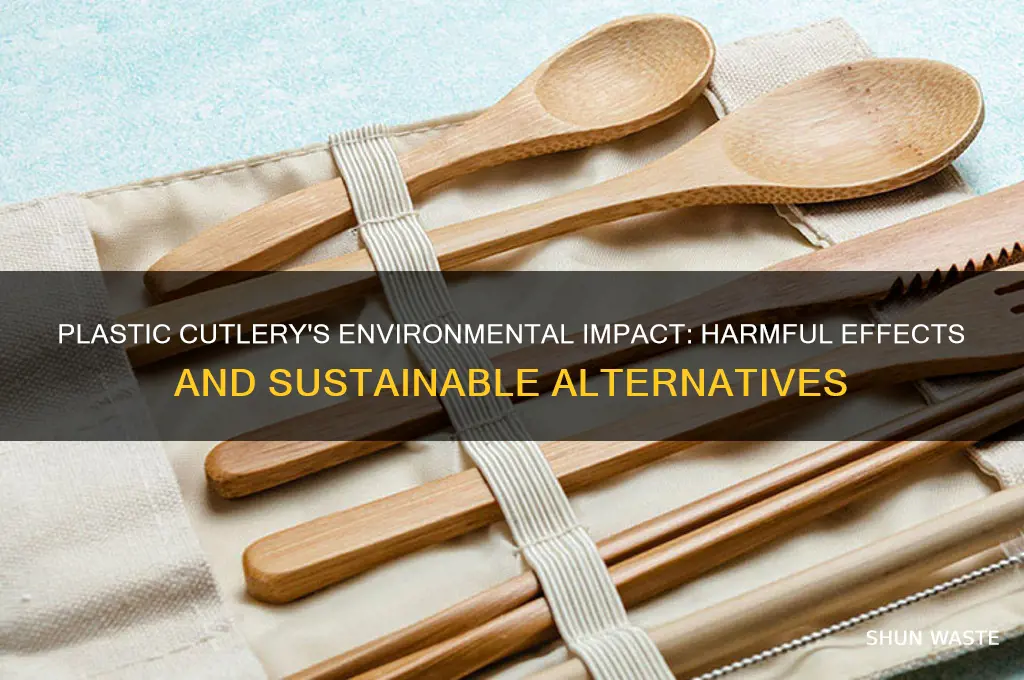 Plastic Cutlery's Environmental Impact: Harmful Effects And Sustainable ...