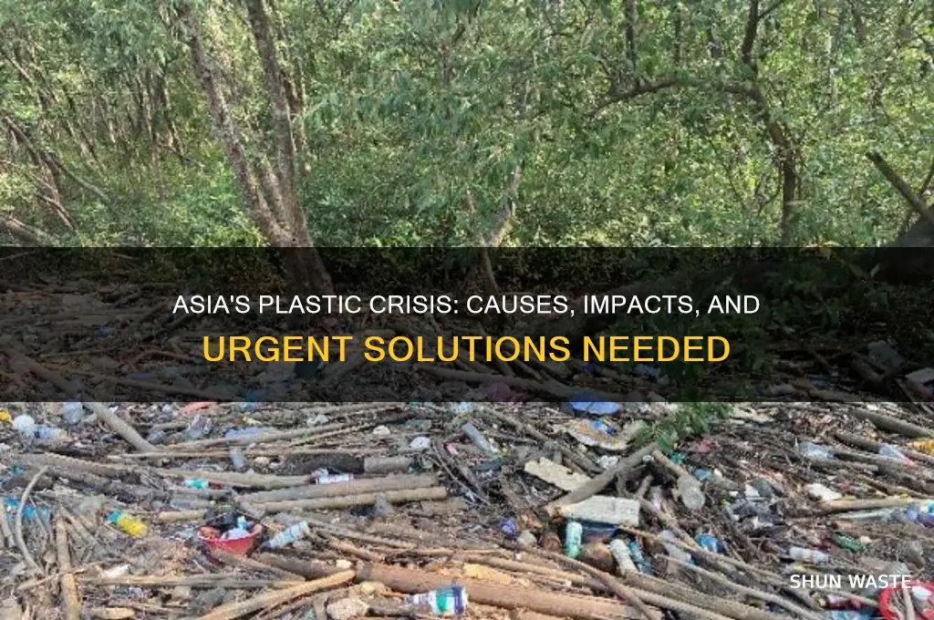 Asia's Plastic Crisis: Causes, Impacts, And Urgent Solutions Needed ...