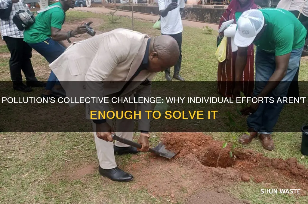 Pollution's Collective Challenge: Why Individual Efforts Aren't Enough ...