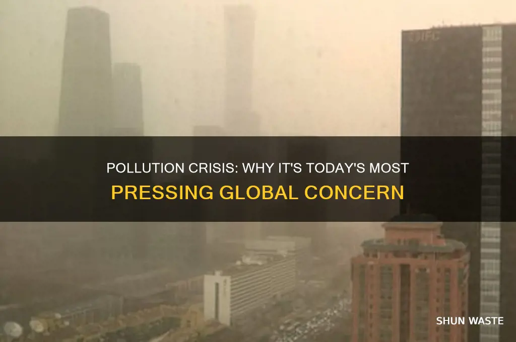 Pollution Crisis: Why It's Today's Most Pressing Global Concern | ShunWaste