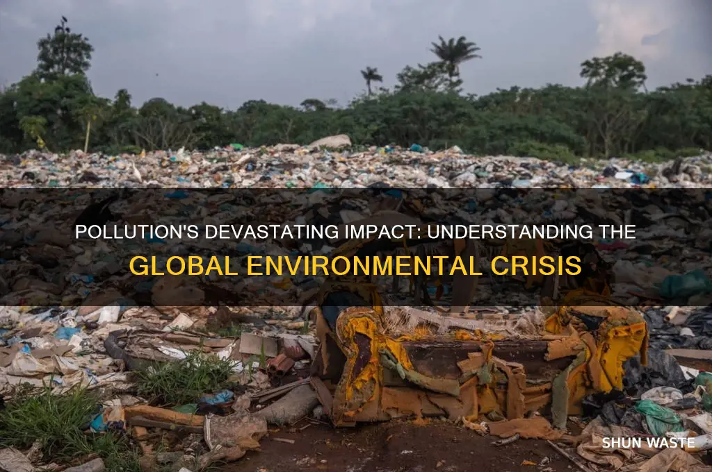Pollution's Devastating Impact: Understanding The Global Environmental ...