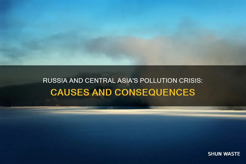 Russia And Central Asia's Pollution Crisis: Causes And Consequences ...