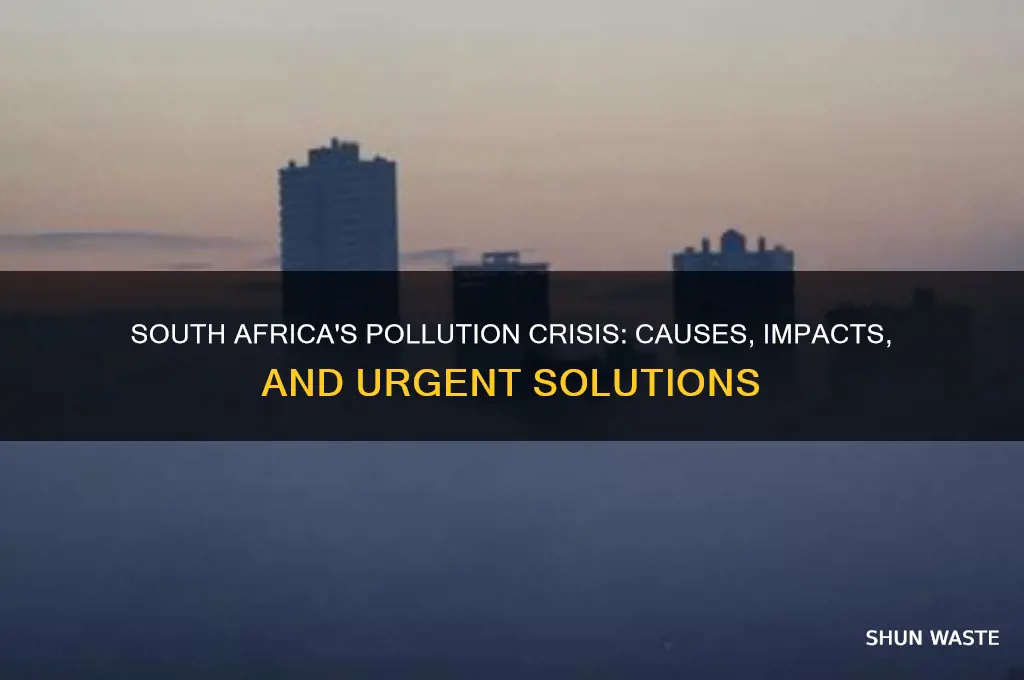 South Africa's Pollution Crisis: Causes, Impacts, And Urgent Solutions ...
