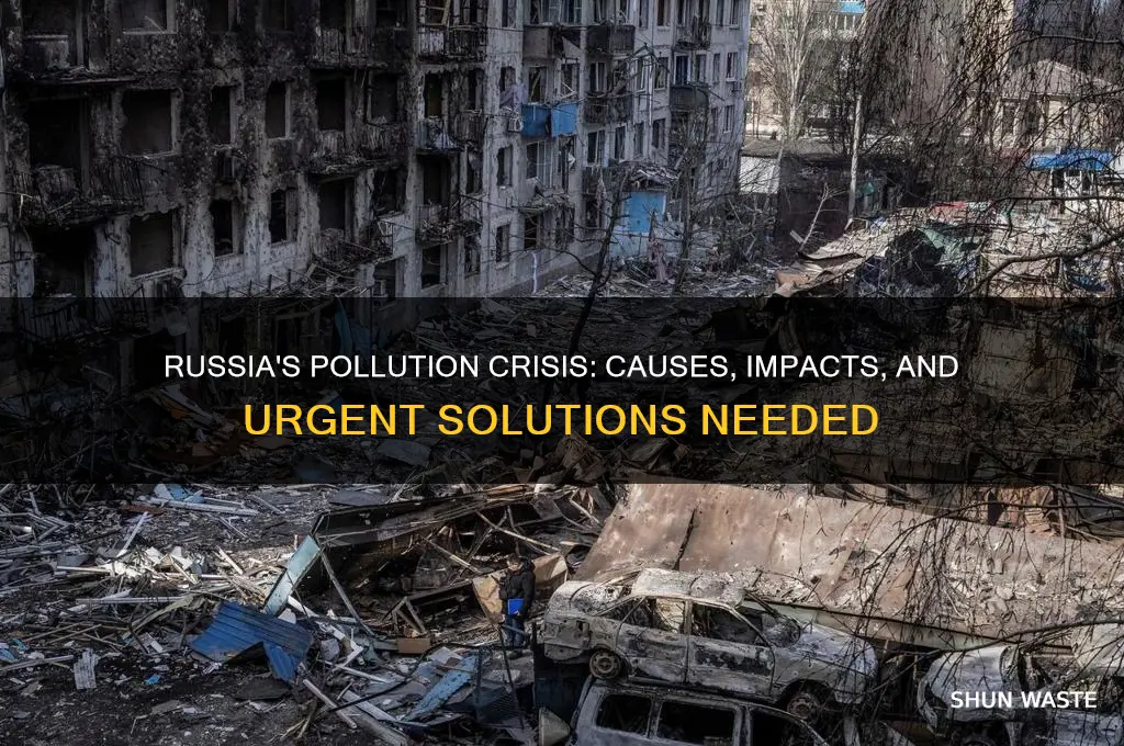 Russia's Pollution Crisis: Causes, Impacts, And Urgent Solutions Needed ...