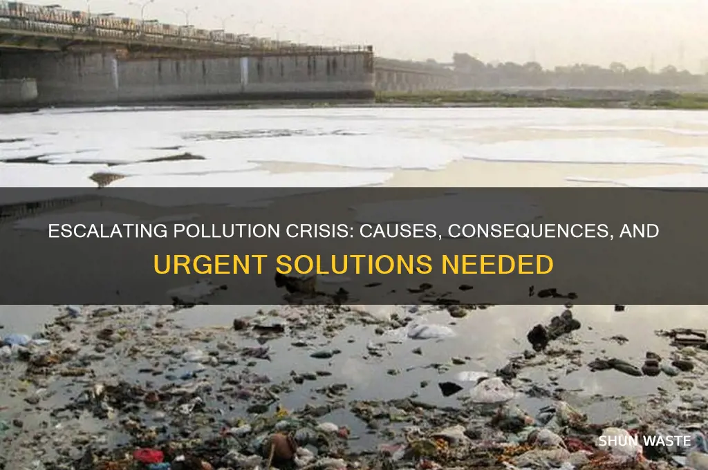 Escalating Pollution Crisis: Causes, Consequences, And Urgent Solutions ...