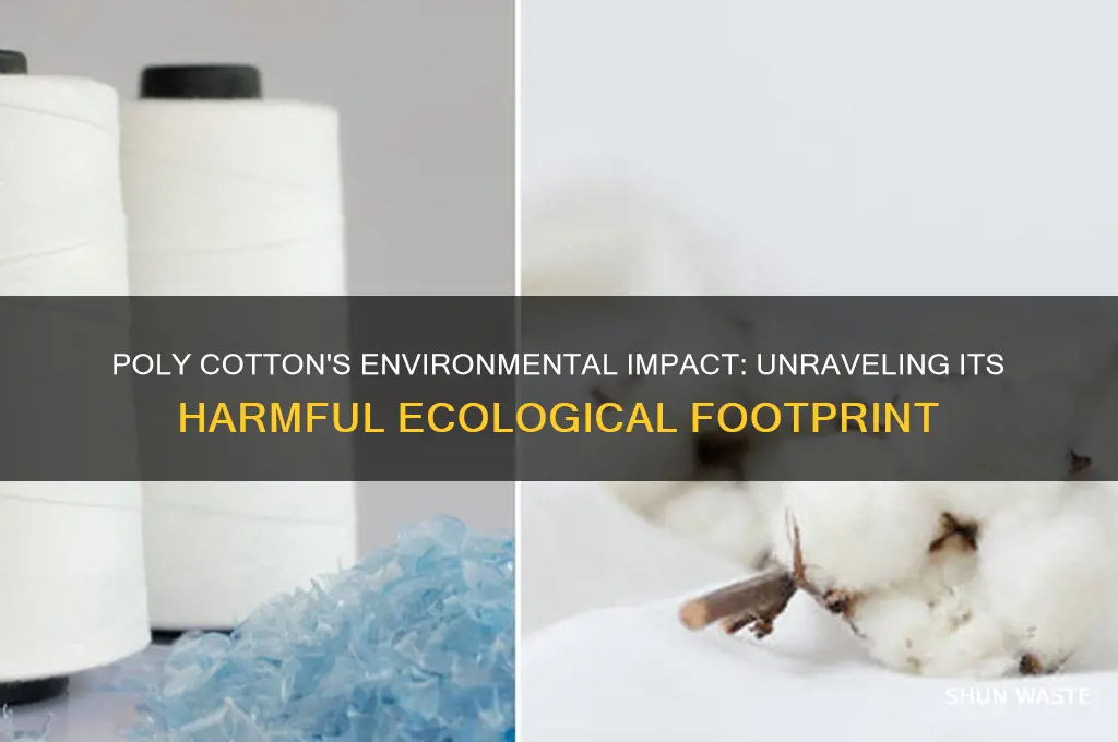 Poly Cotton's Environmental Impact: Unraveling Its Harmful Ecological ...