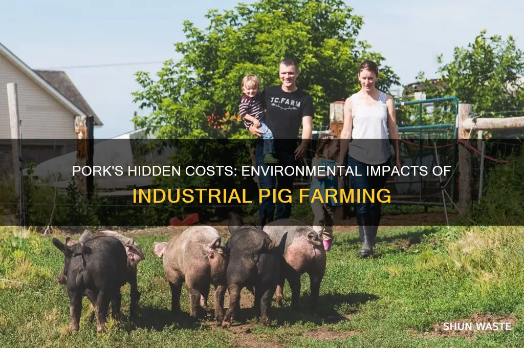 Pork's Hidden Costs: Environmental Impacts Of Industrial Pig Farming ...