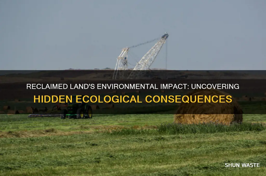 Reclaimed Land's Environmental Impact: Uncovering Hidden Ecological ...