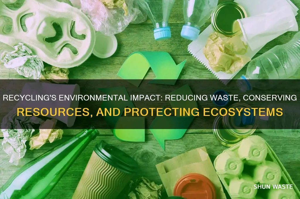 Recycling's Environmental Impact: Reducing Waste, Conserving Resources ...