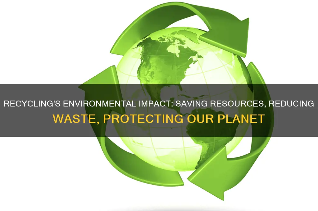 Recycling's Environmental Impact: Saving Resources, Reducing Waste ...