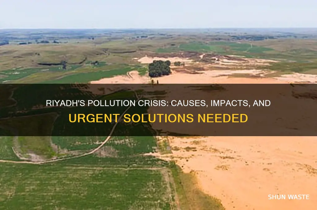 Riyadh's Pollution Crisis: Causes, Impacts, And Urgent Solutions Needed ...