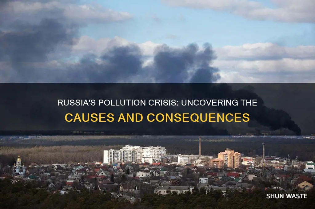 Russia's Pollution Crisis: Uncovering The Causes And Consequences ...