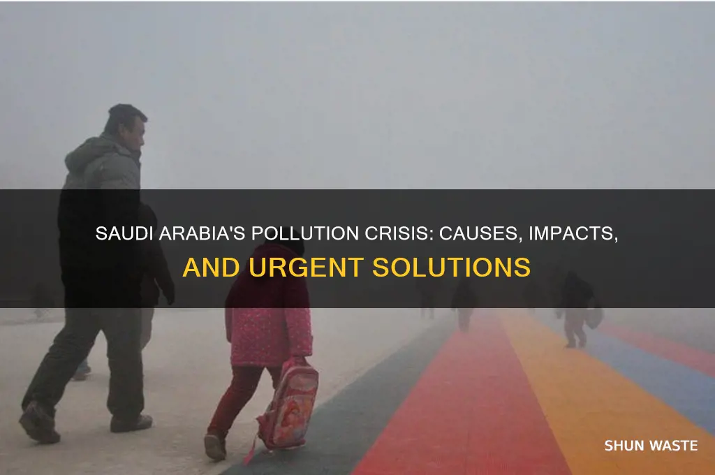 Saudi Arabia's Pollution Crisis: Causes, Impacts, And Urgent Solutions ...