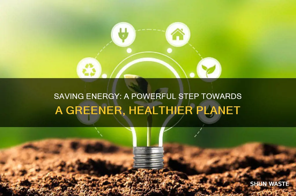 Saving Energy: A Powerful Step Towards A Greener, Healthier Planet ...