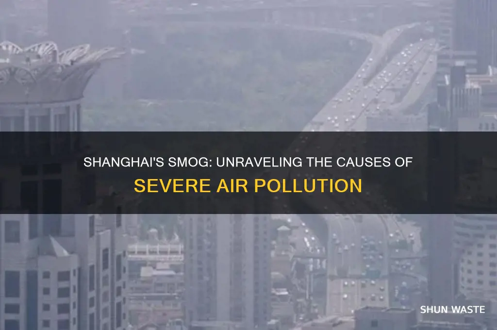 Shanghai's Smog: Unraveling The Causes Of Severe Air Pollution | ShunWaste