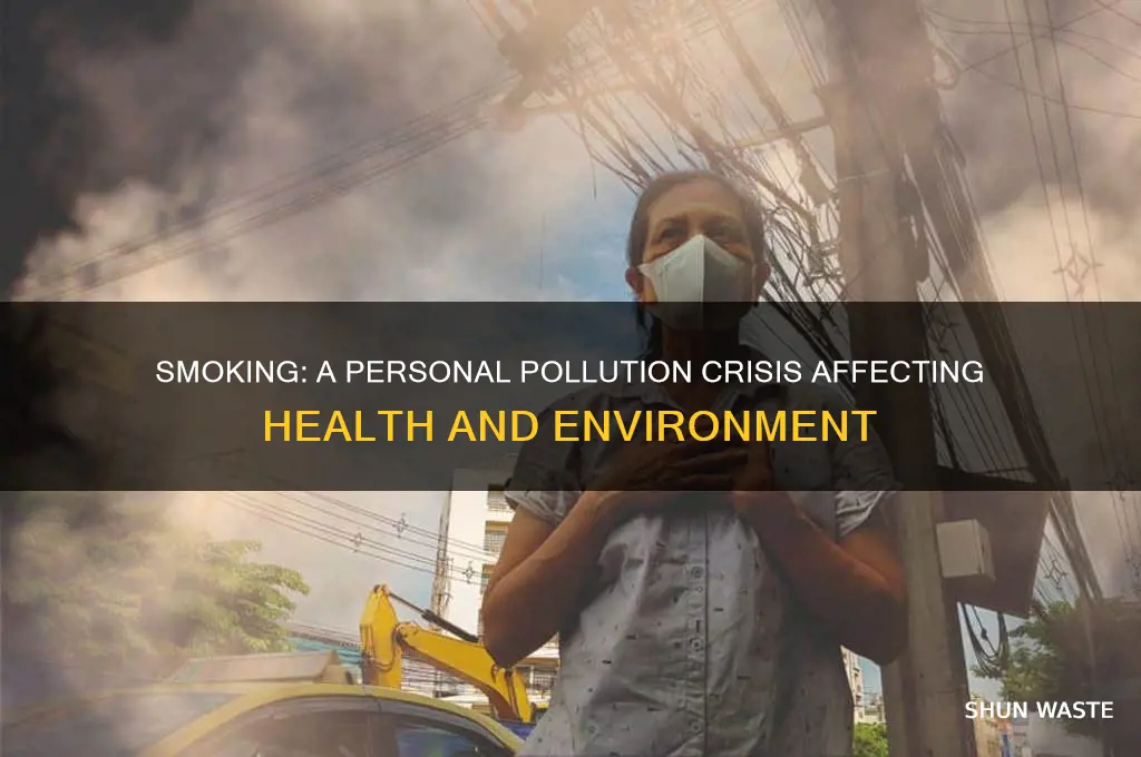 Smoking: A Personal Pollution Crisis Affecting Health And Environment ...