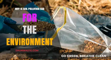 Shein's Environmental Impact: Fast Fashion's Hidden Ecological Costs ...