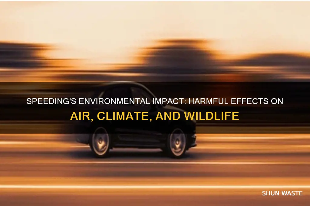 Speeding's Environmental Impact: Harmful Effects On Air, Climate, And ...