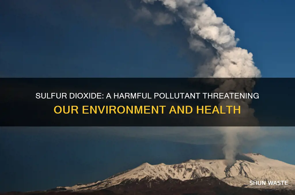 Sulfur Dioxide: A Harmful Pollutant Threatening Our Environment And ...