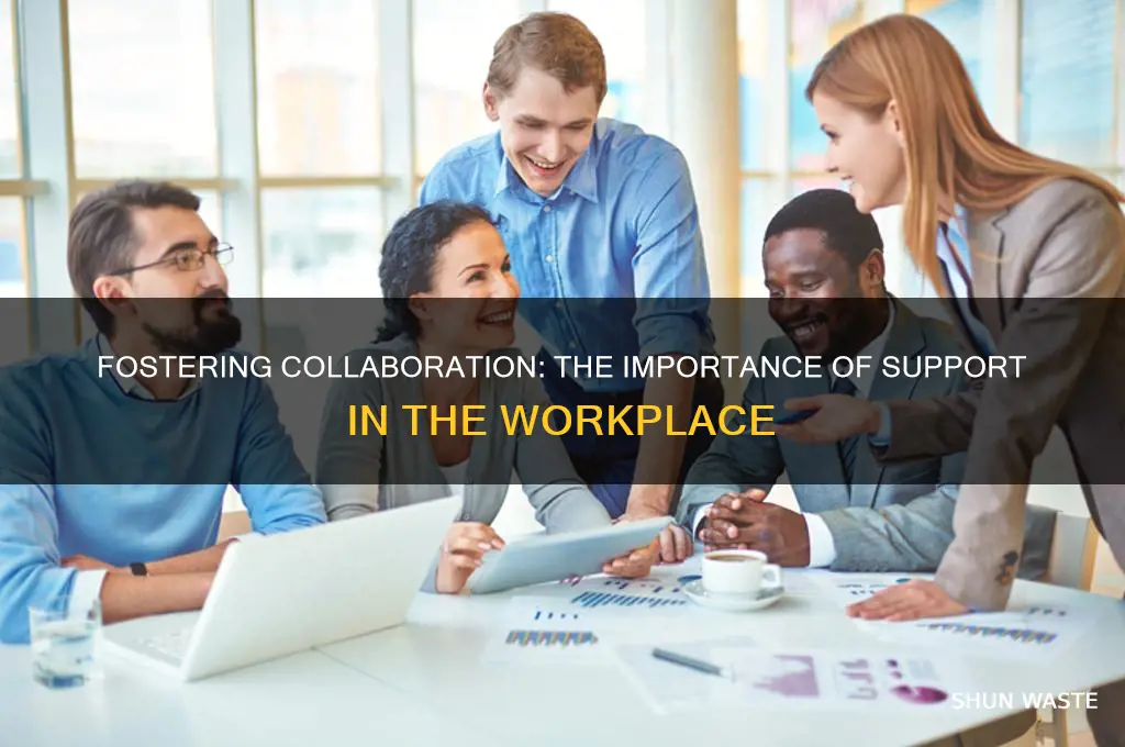 Fostering Collaboration: The Importance Of Support In The Workplace ...