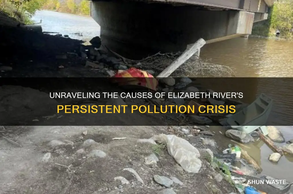 Unraveling The Causes Of Elizabeth River's Persistent Pollution Crisis ...
