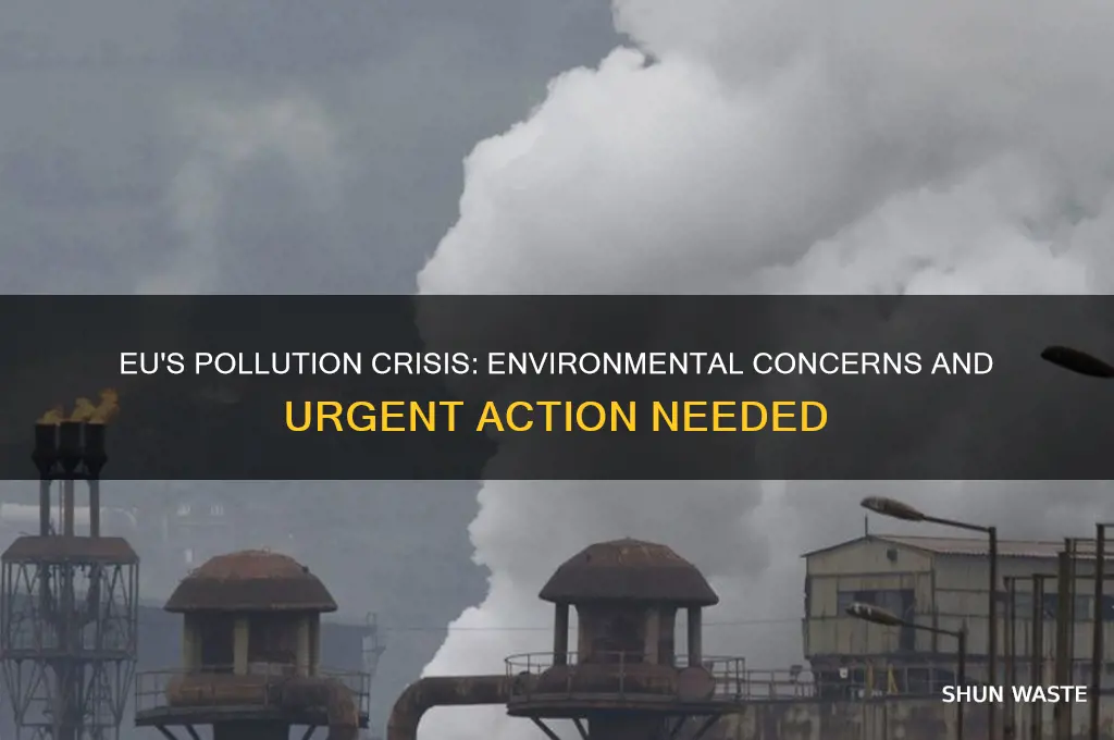 Eu's Pollution Crisis: Environmental Concerns And Urgent Action Needed ...