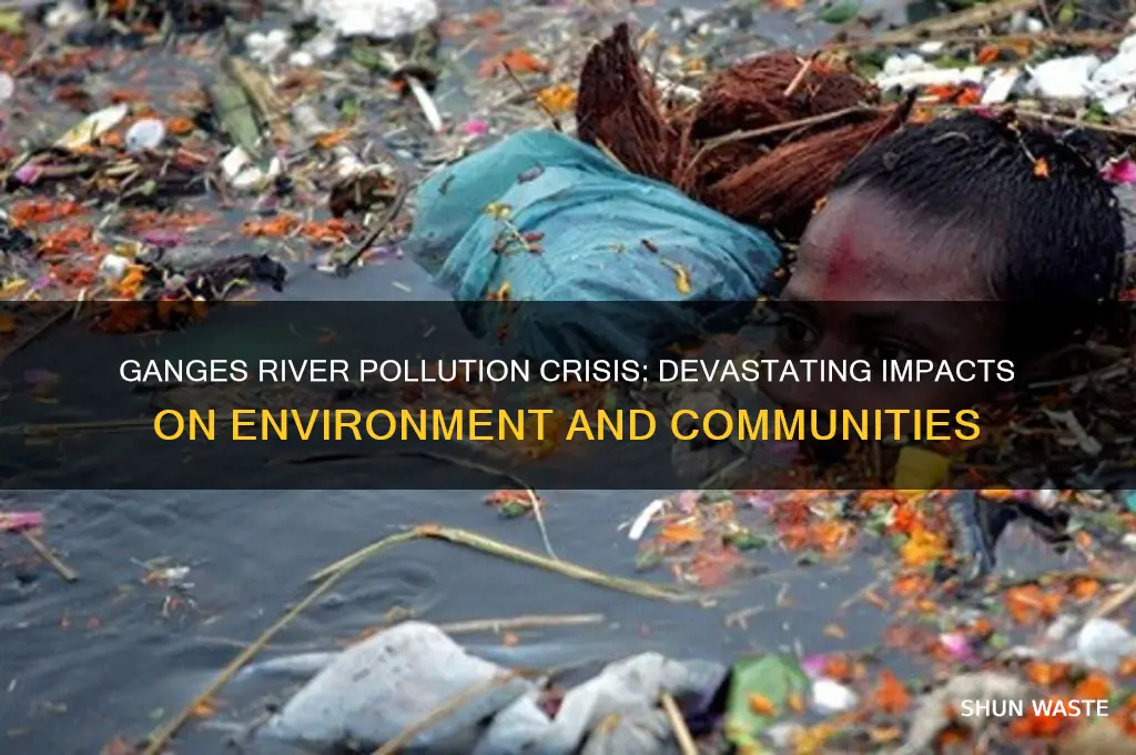 Ganges River Pollution Crisis: Devastating Impacts On Environment And ...