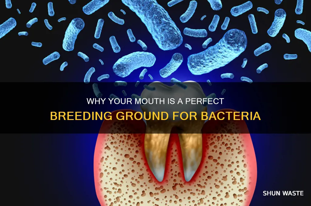 Why Your Mouth Is A Perfect Breeding Ground For Bacteria | ShunWaste